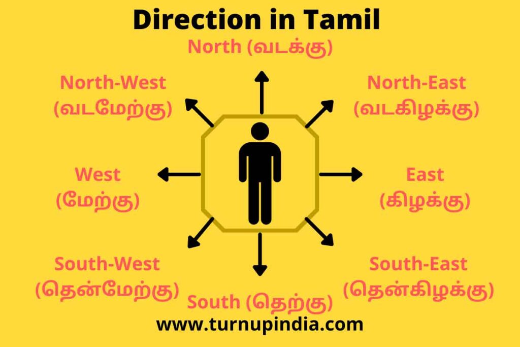 Animals Name In Tamil And English Turn Up India Animals Name In Tamil And English Turn Up India