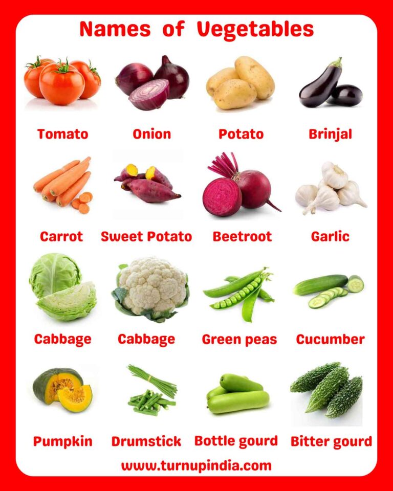 Names of Vegetables in English With Images - Turn up India